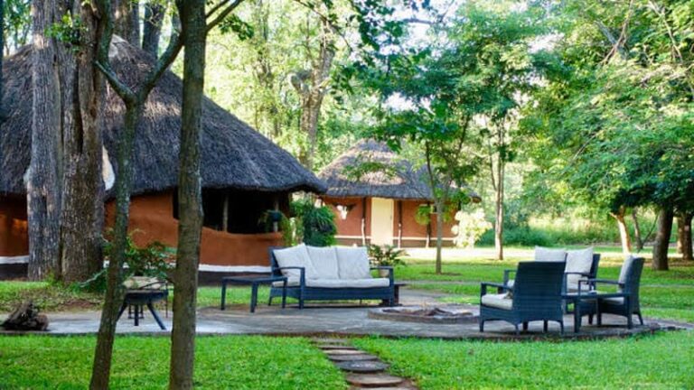 Lowveld Hunting Area In Zimbabwe